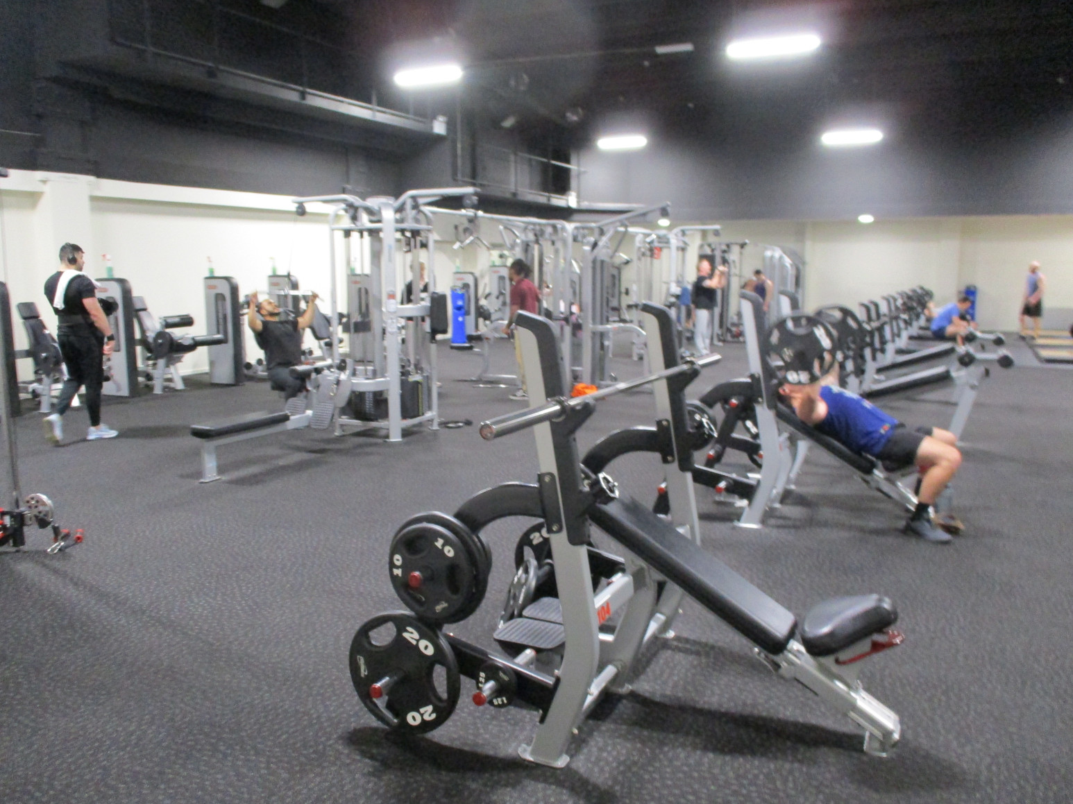 BodyBuilding - FreeFitnessGuru.com
